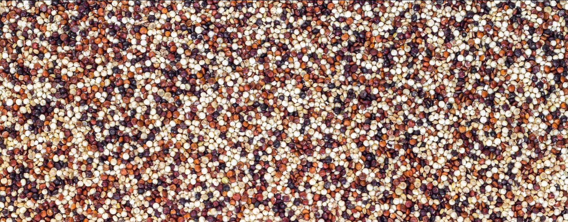 Solid Food - quinoa grains, quinoa flour, quinoa flakes